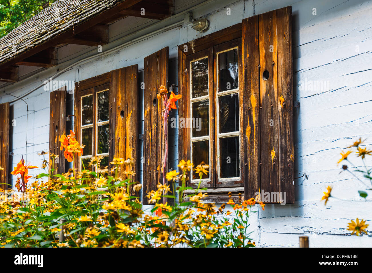 Old log house with thatched roof, traditional rural architecture in ...