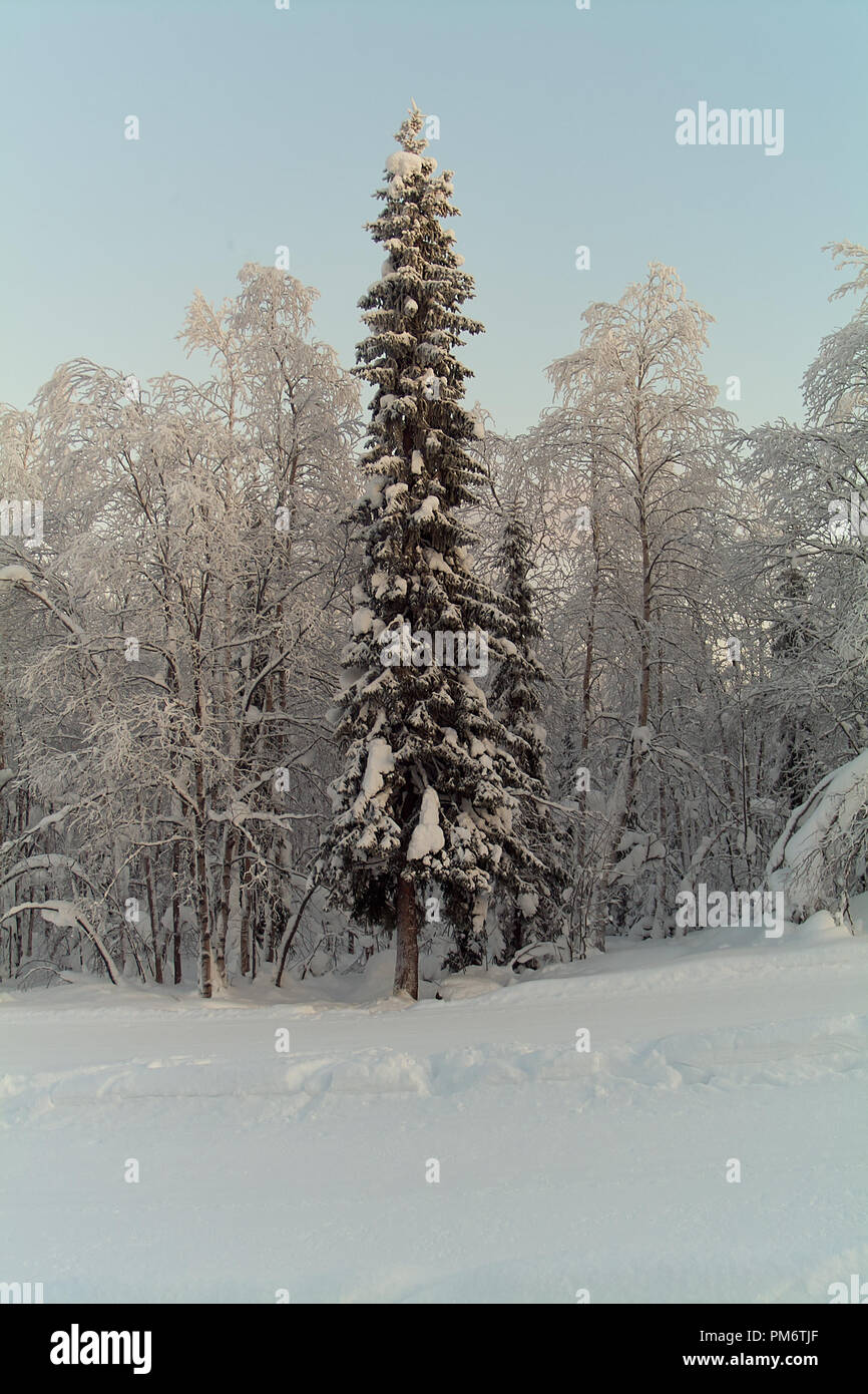 Trails of winter ice hi-res stock photography and images - Alamy