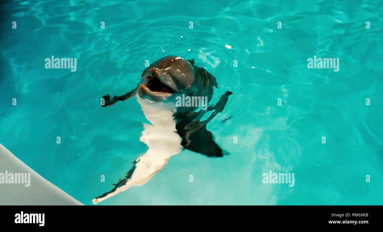 WINTER in Alcon Entertainment's family adventure Dolphin Tale a Warner ...