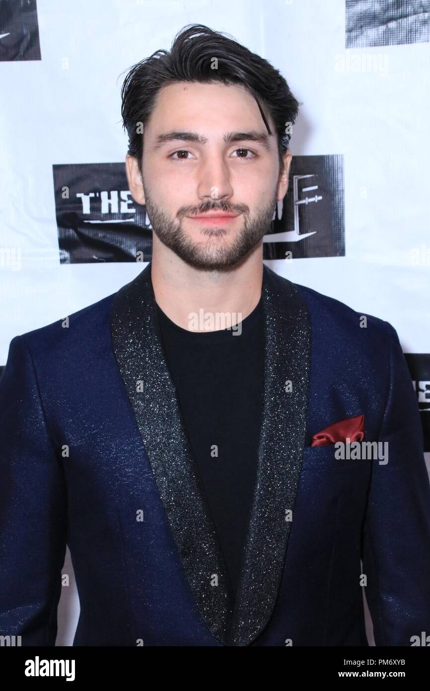 World Premiere of 'Megalodon' held at the Downtown Independent in Los ...