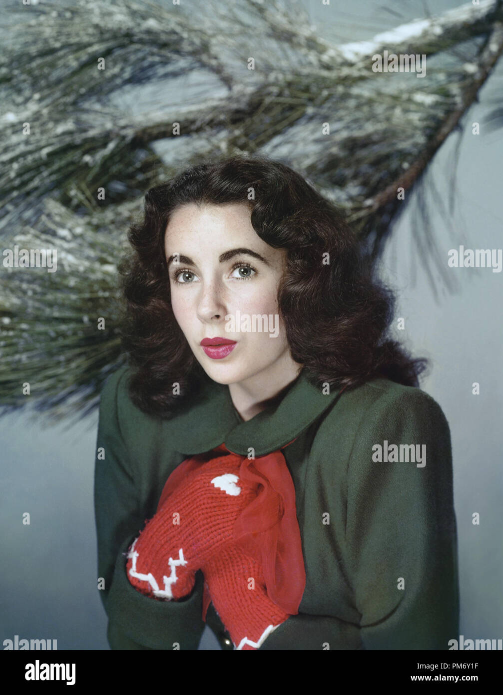 Elizabeth taylor archive hollywood publicity still hi-res stock ...