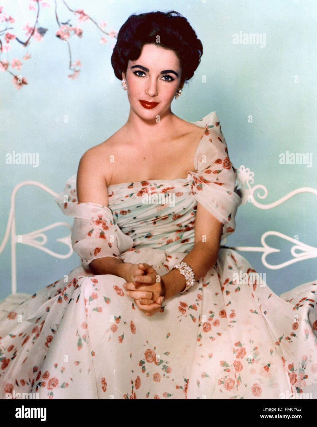 Studio Publicity Still: Elizabeth Taylor circa 1955 File Reference ...