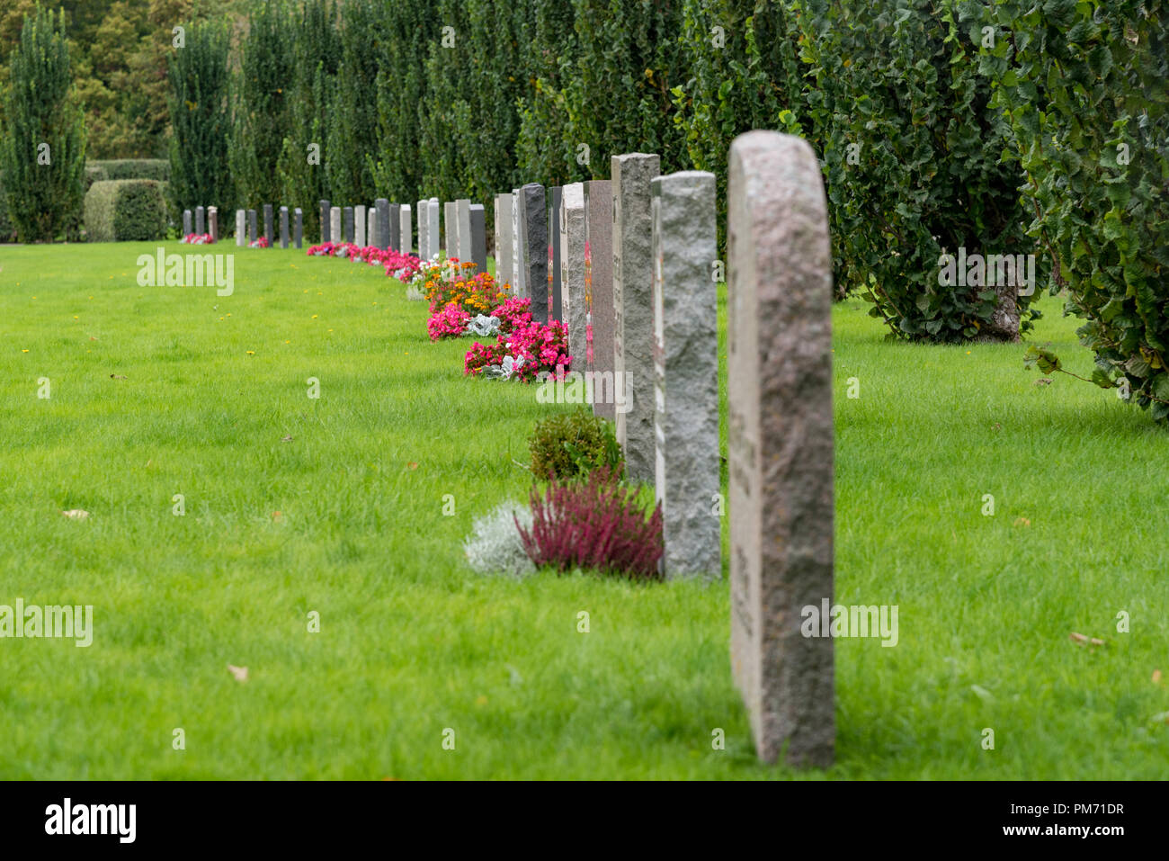 line of gravestones and flowers in a swedish cemetery autumn 2018 Stock ...