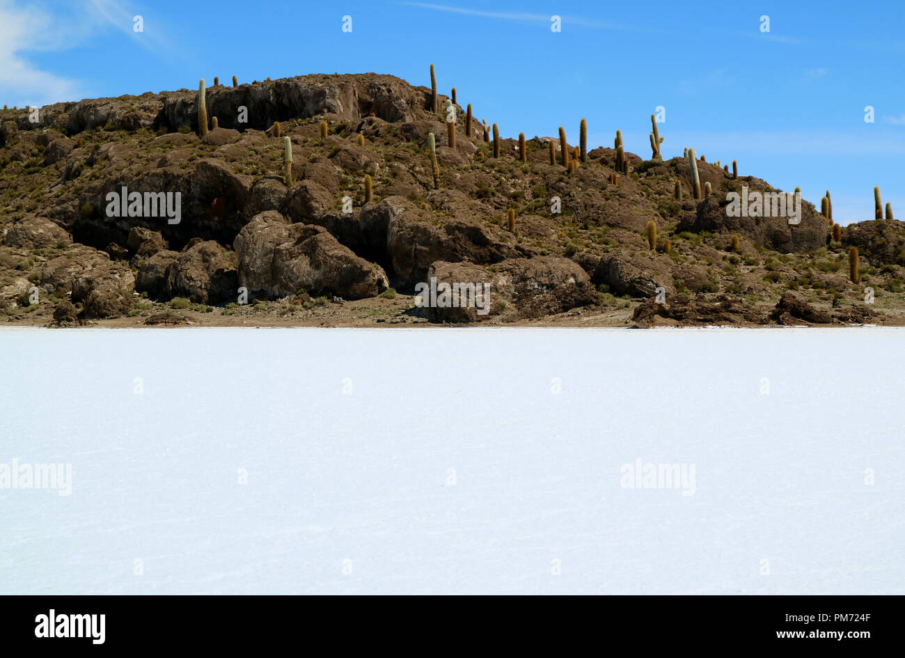 Isla Incahuasi or Isla del Pescado, an Rocky Outcrop in the Middle of ...