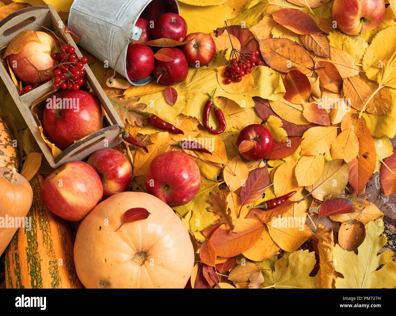 autumn harvest - fruits and vegetables are on fallen yellow leaves ...