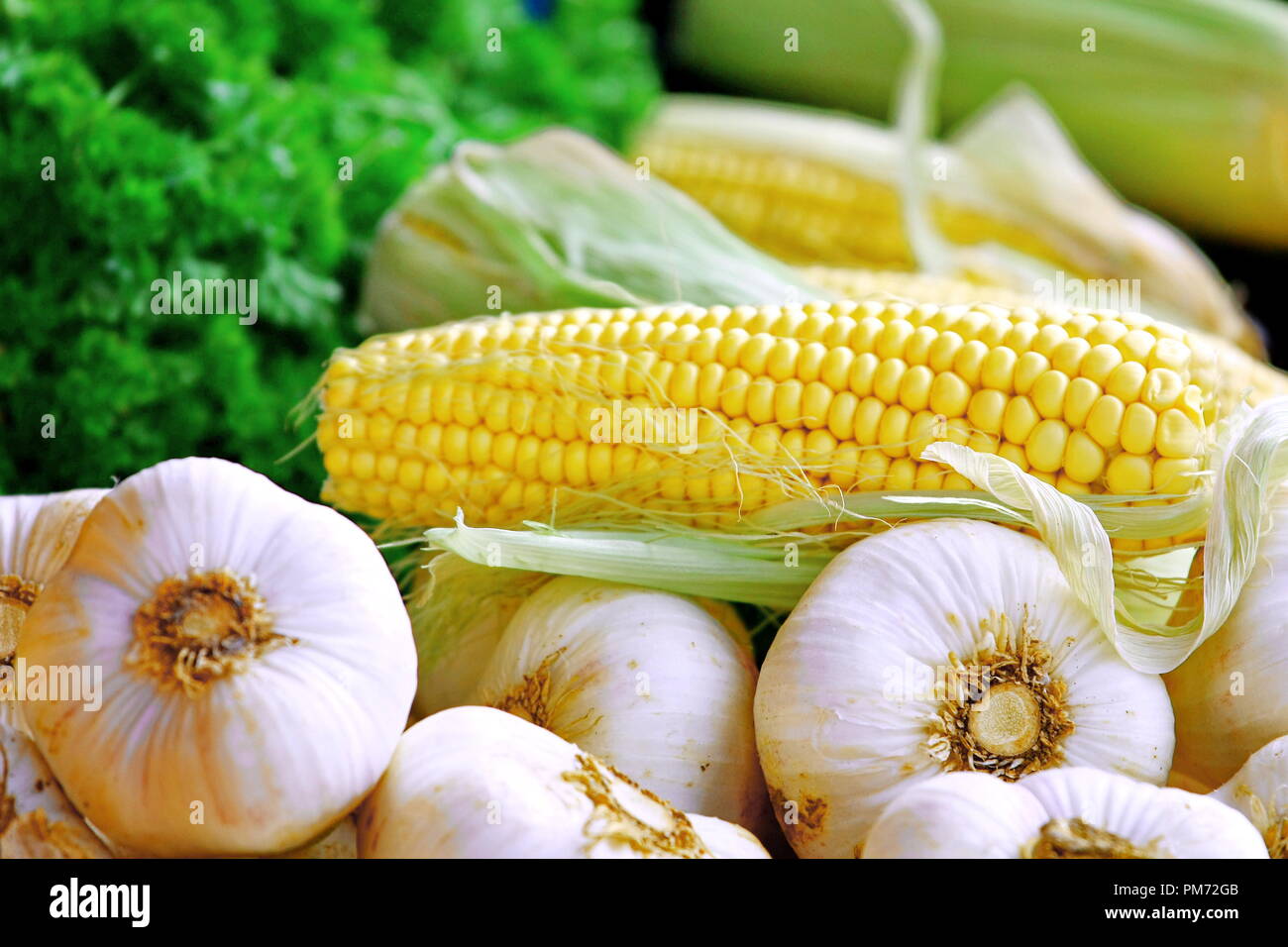Corn and garlic. Mixed Produce in market Stock Photo - Alamy