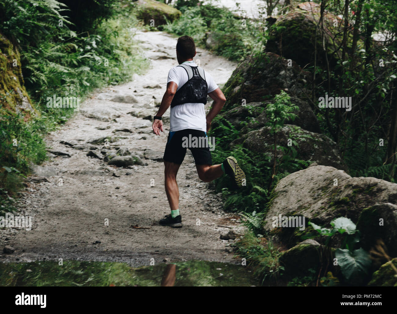 Man trail runner running on forest trail in Mountain Stock Photo - Alamy