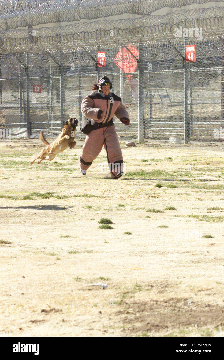 Film Still / Publicity Still from "Fear Factor" Contestant in "Dog ...