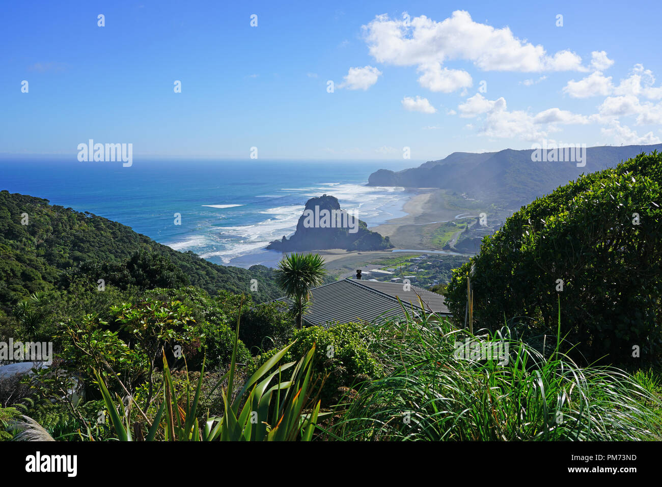View of the black sand Piha Beach near Auckland in the North Island ...