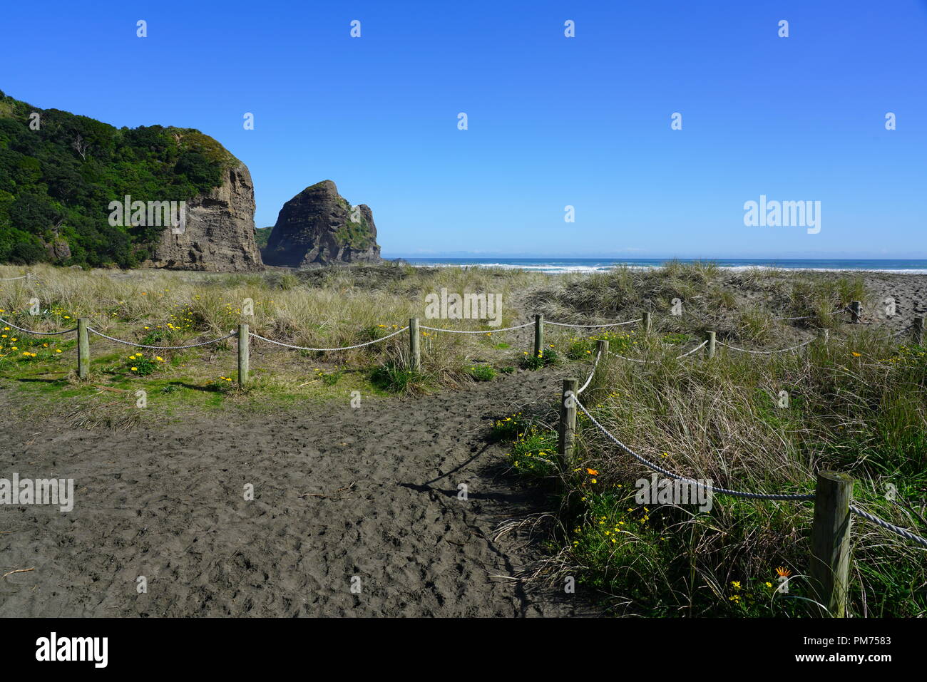 View of the black sand Piha Beach near Auckland in the North Island ...