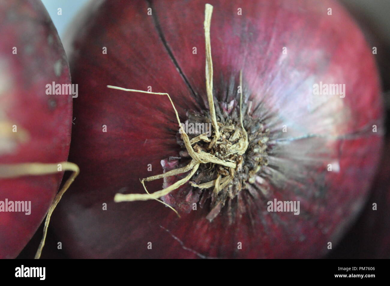 Red Onions, Still Life close up Stock Photo - Alamy