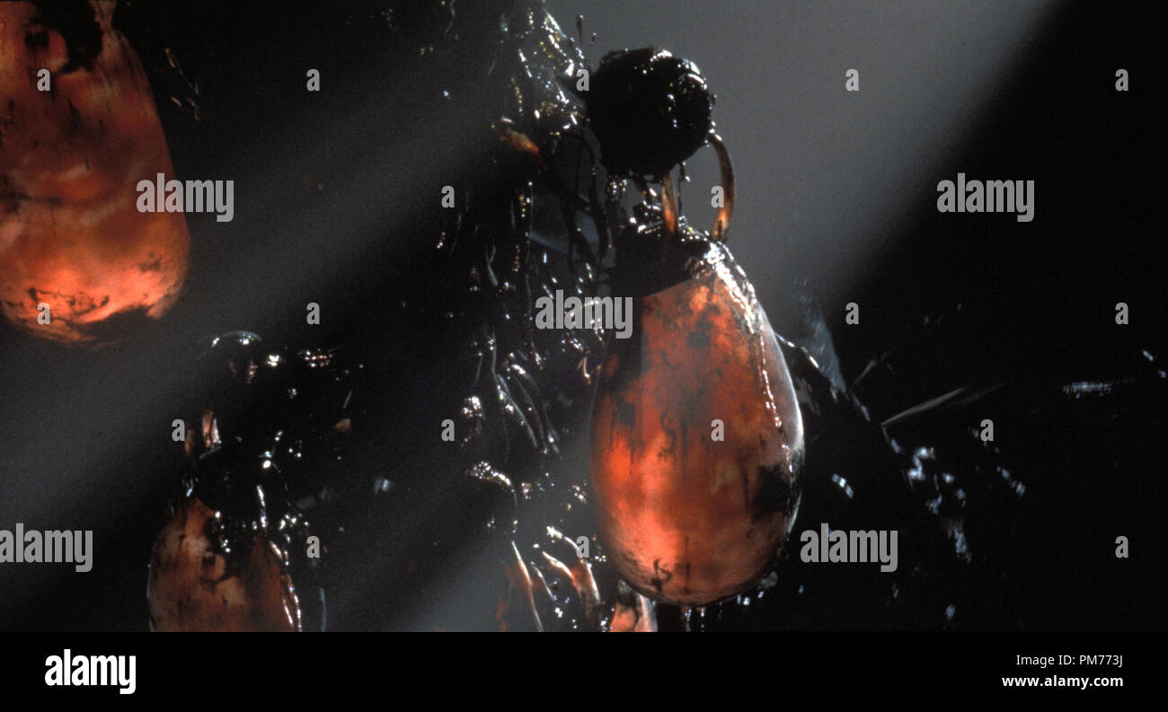 Film Still / Publicity Still from "The Matrix" © 1999 Warner Brothers ...