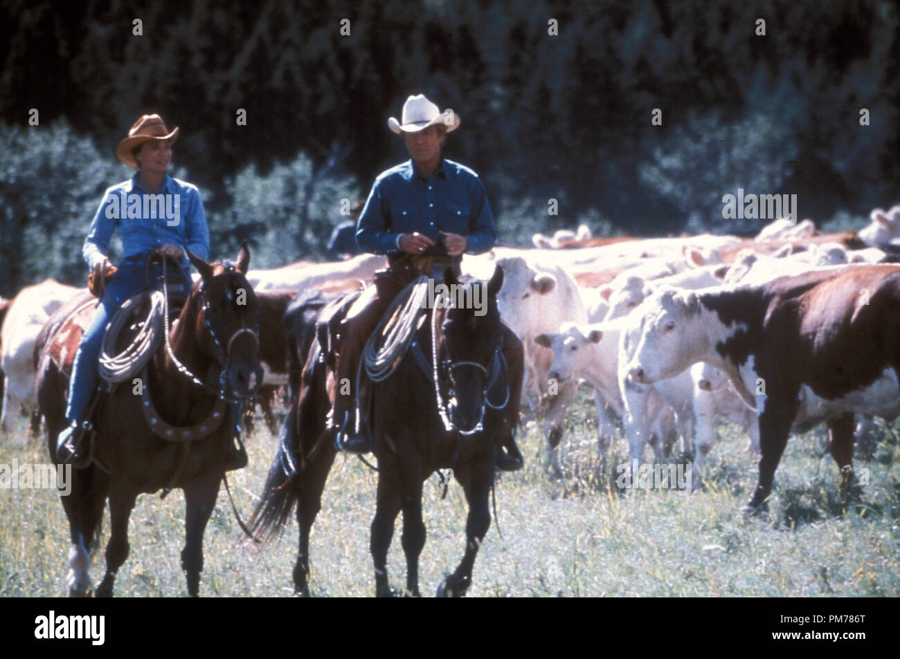Film Still from "The Horse Whisperer" Kristen Scott Thomas, Robert ...