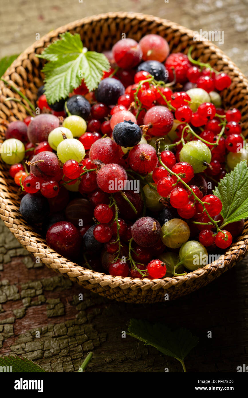 Harvest of summer berry in basket Stock Photo - Alamy