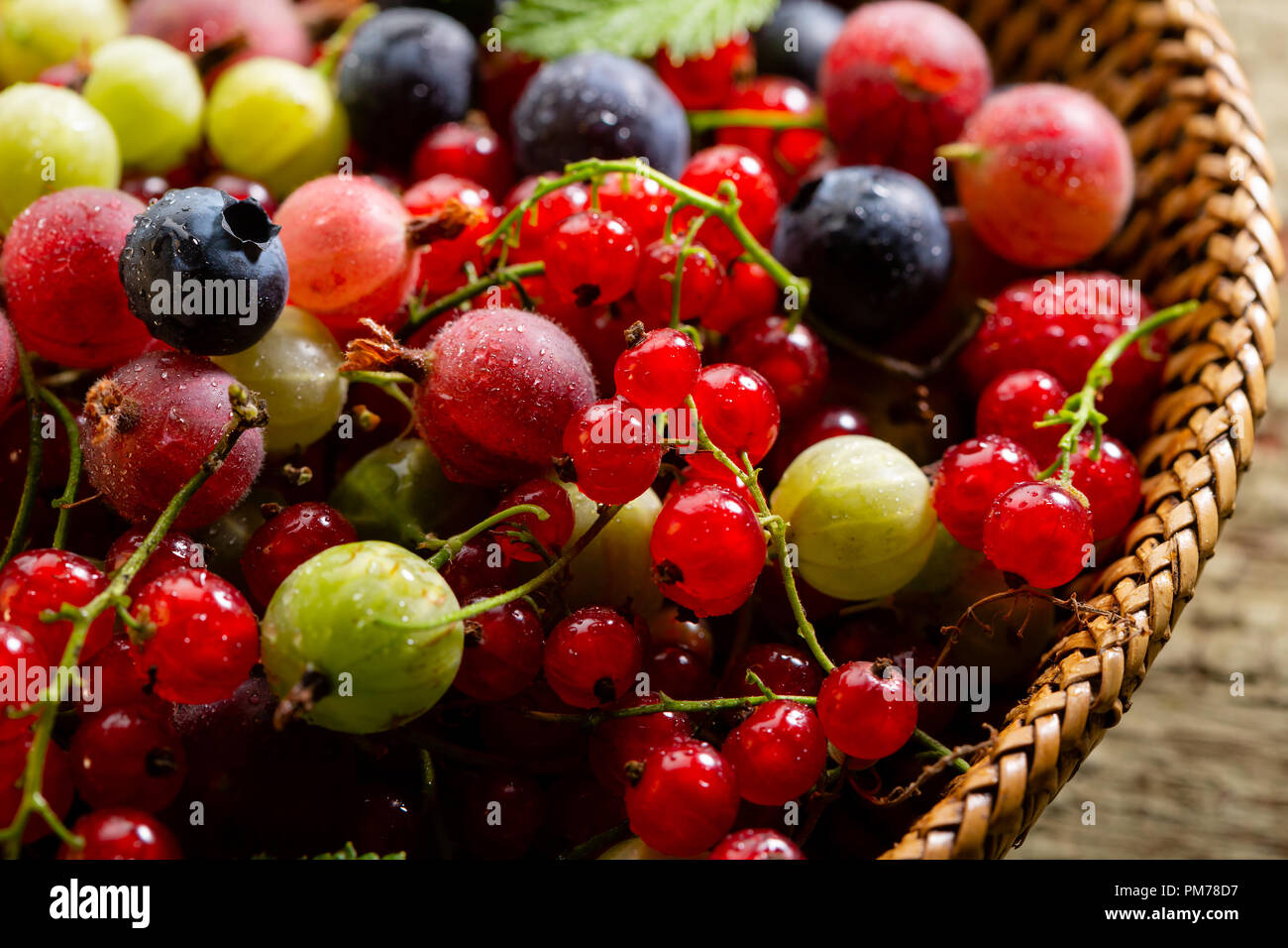 Harvest of summer berry mix in basket Stock Photo - Alamy