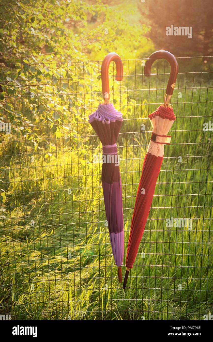 Two umbrellas hang hi-res stock photography and images - Alamy