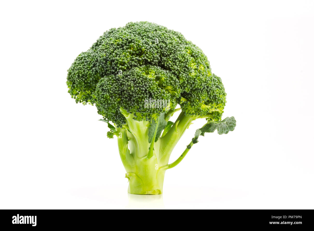 Fresh single ripe broccoli isolated on white background Stock Photo - Alamy