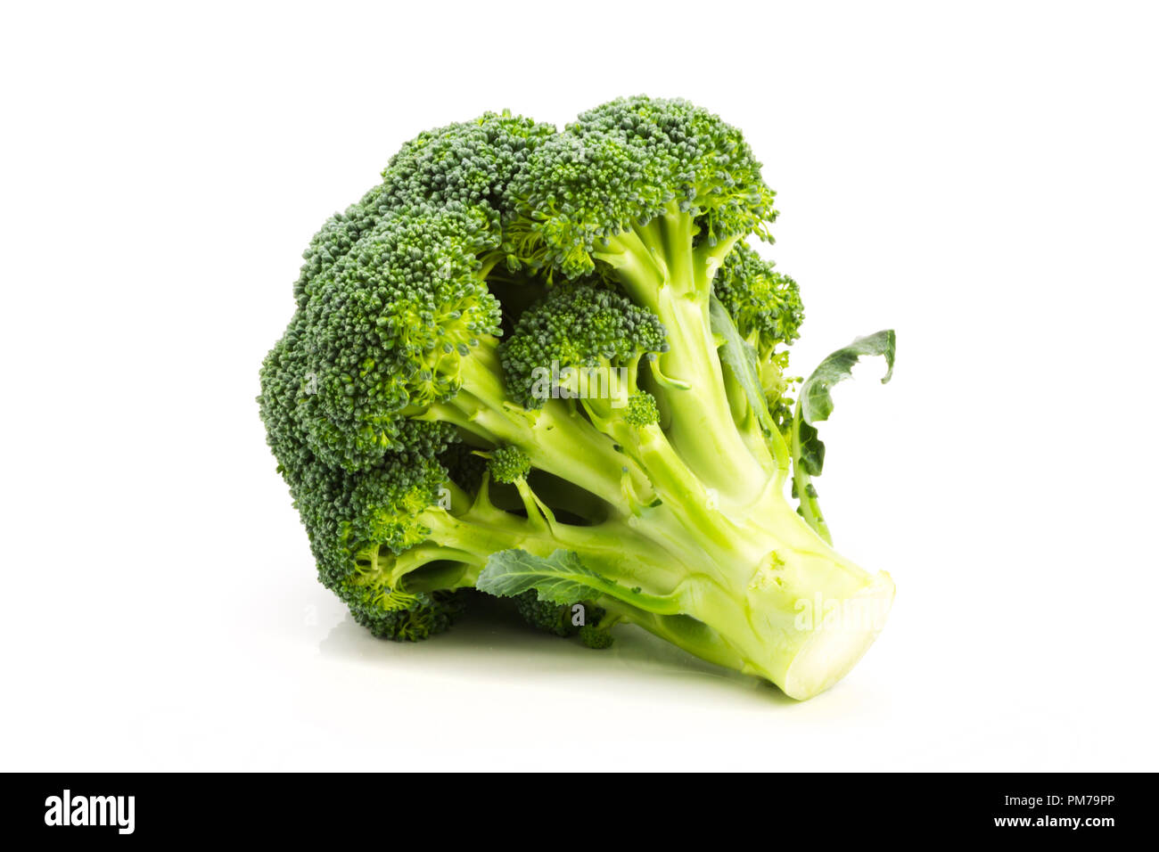 Fresh single ripe broccoli isolated on white background Stock Photo - Alamy
