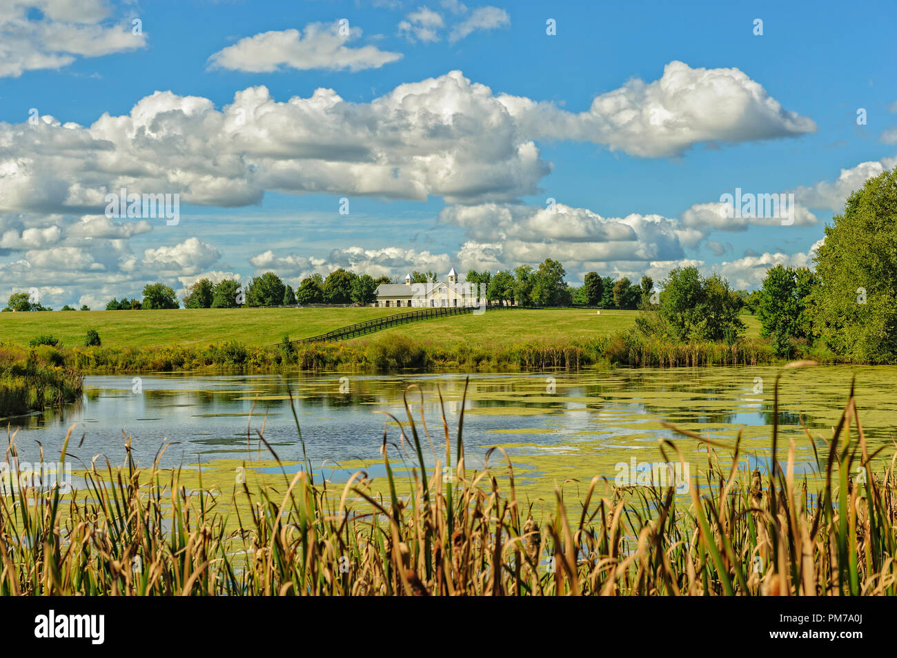 Kentucky landscape hi-res stock photography and images - Alamy