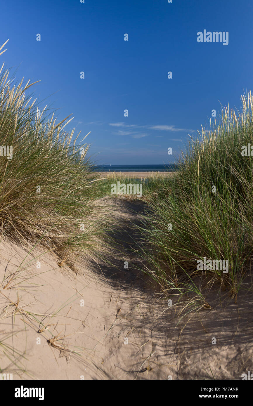 Sand dunes of Holkham beach, Norfolkuk Stock Photo - Alamy