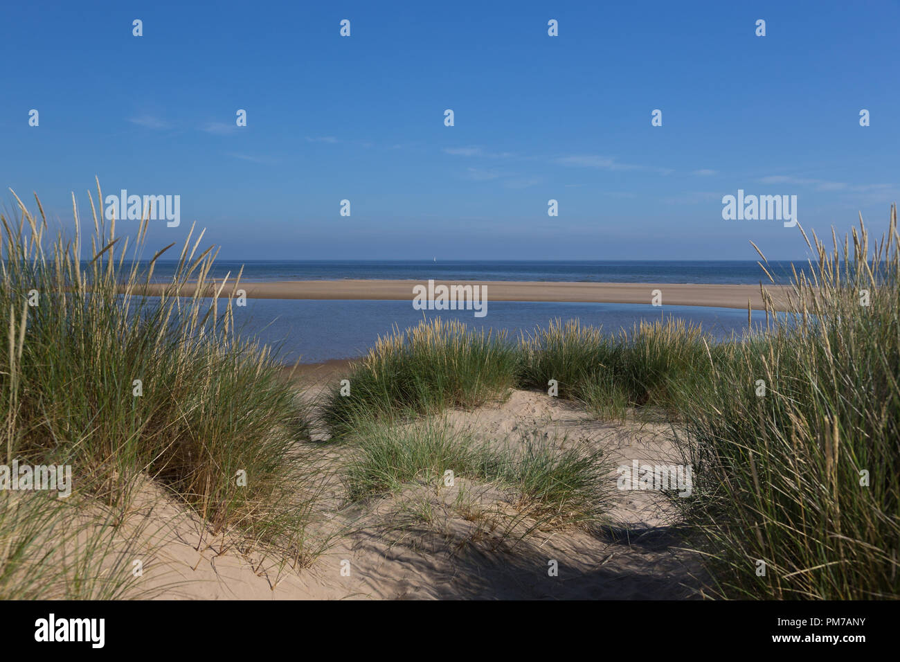 Sand dunes of Holkham beach, Norfolkuk Stock Photo - Alamy