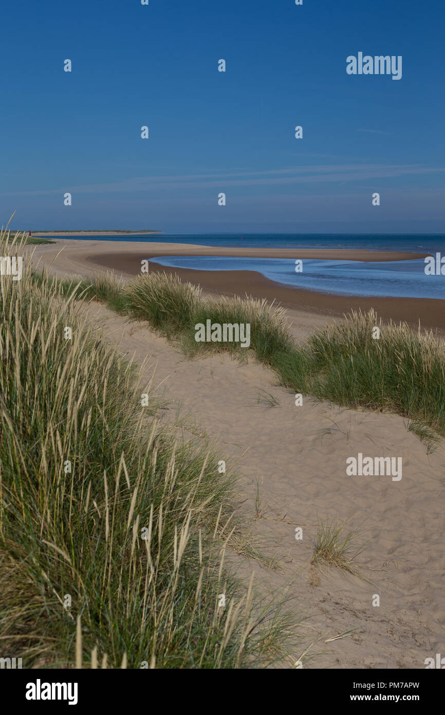 Sand dunes of Holkham beach, Norfolkuk Stock Photo - Alamy