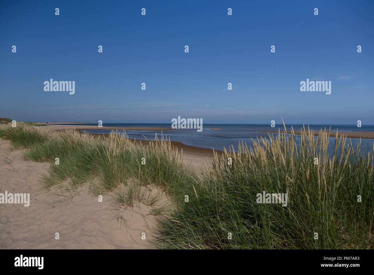 Sand dunes of Holkham beach, Norfolkuk Stock Photo - Alamy