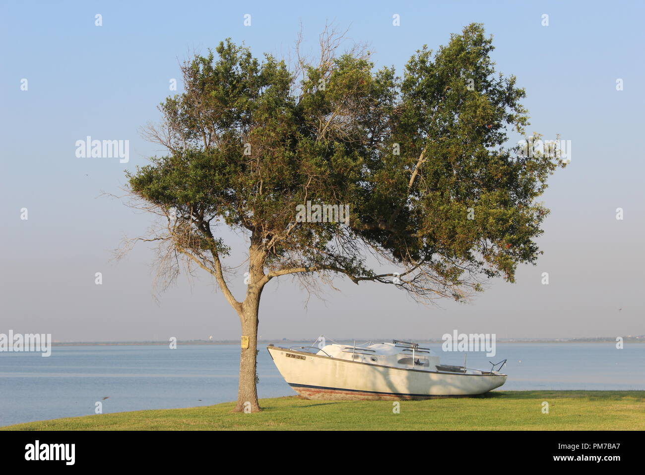 boat unter tree Stock Photo - Alamy