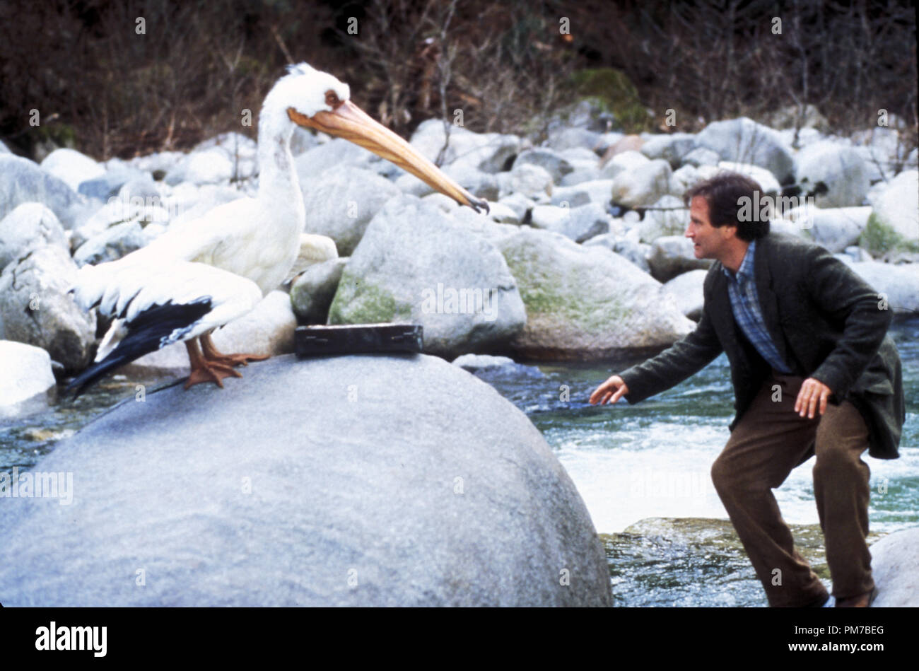 Film Still from "Jumanji" Robin Williams © 1995 TriStar Pictures Photo ...