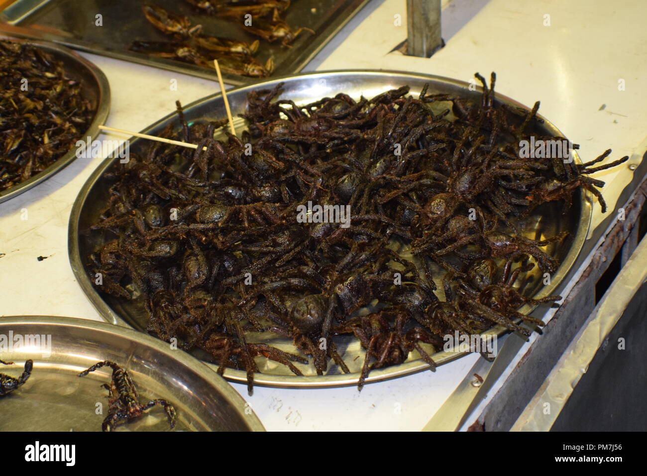 Insekten essen hi-res stock photography and images - Alamy