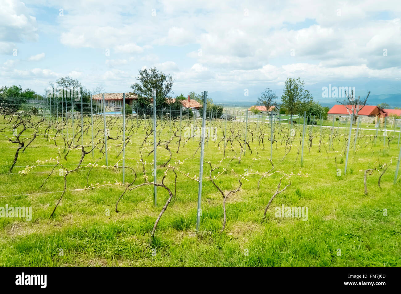 Alazani valley georgia hi-res stock photography and images - Alamy