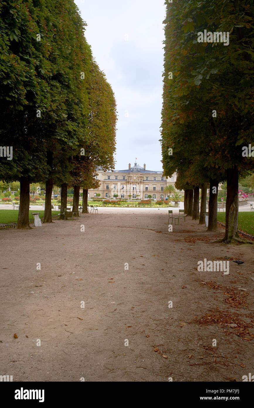 Chestnut tree in paris france hi-res stock photography and images - Alamy