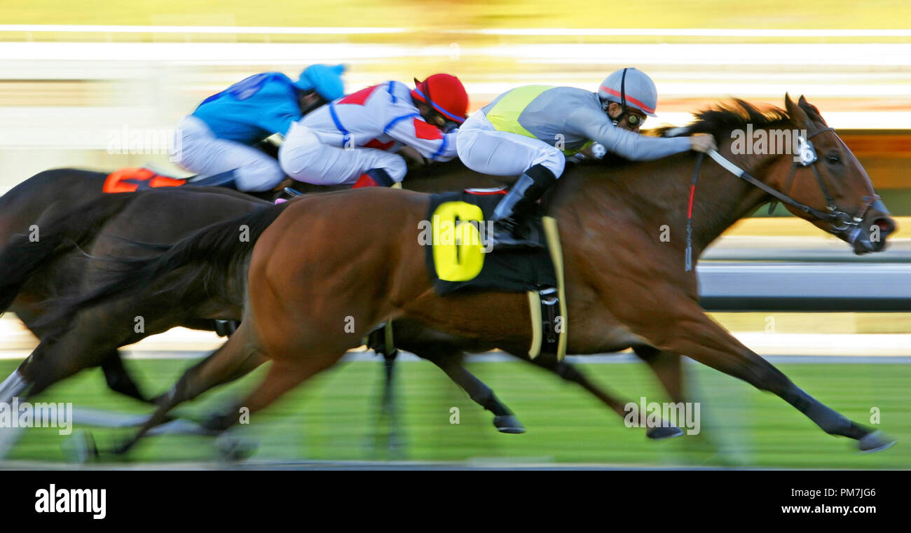 Horse race shot at slow shutter speed to enhance motion effect ...