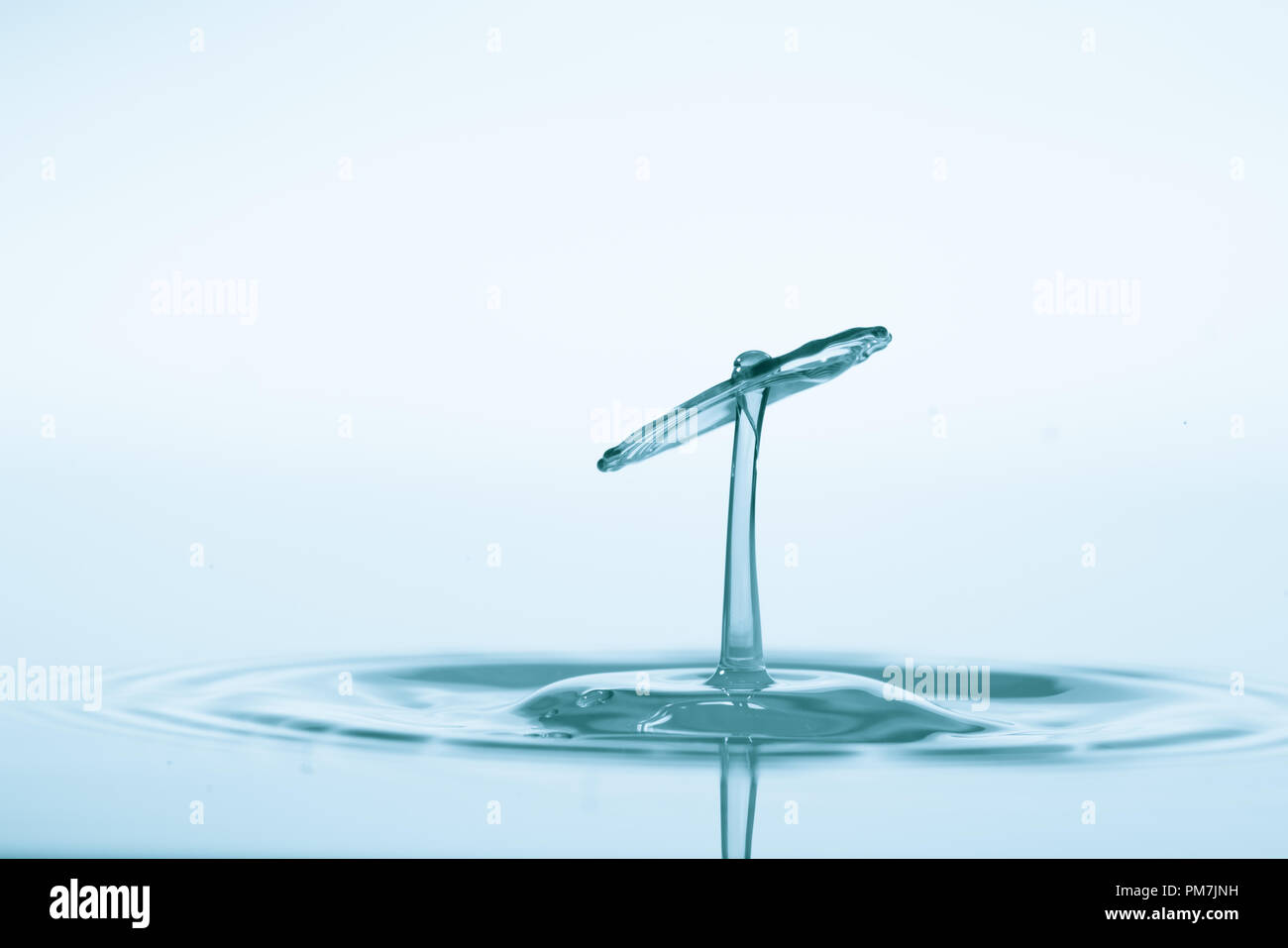 splash of the falling drops of water, collision drops Stock Photo - Alamy