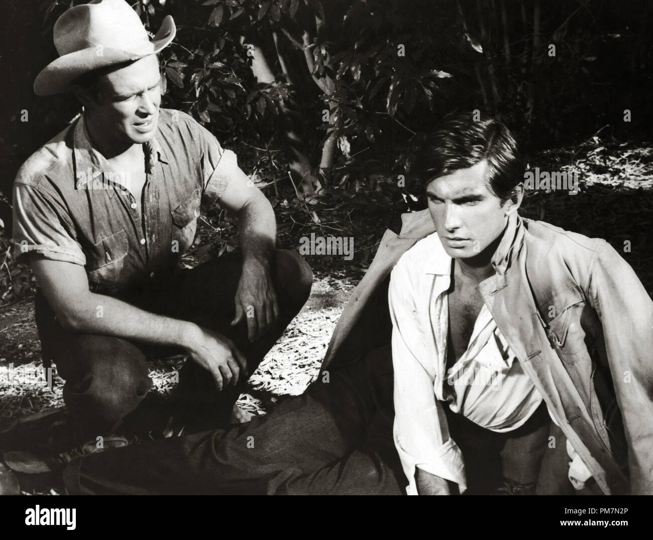 George Peppard and George Hamilton "Home from the Hill" 1960 MGM File ...