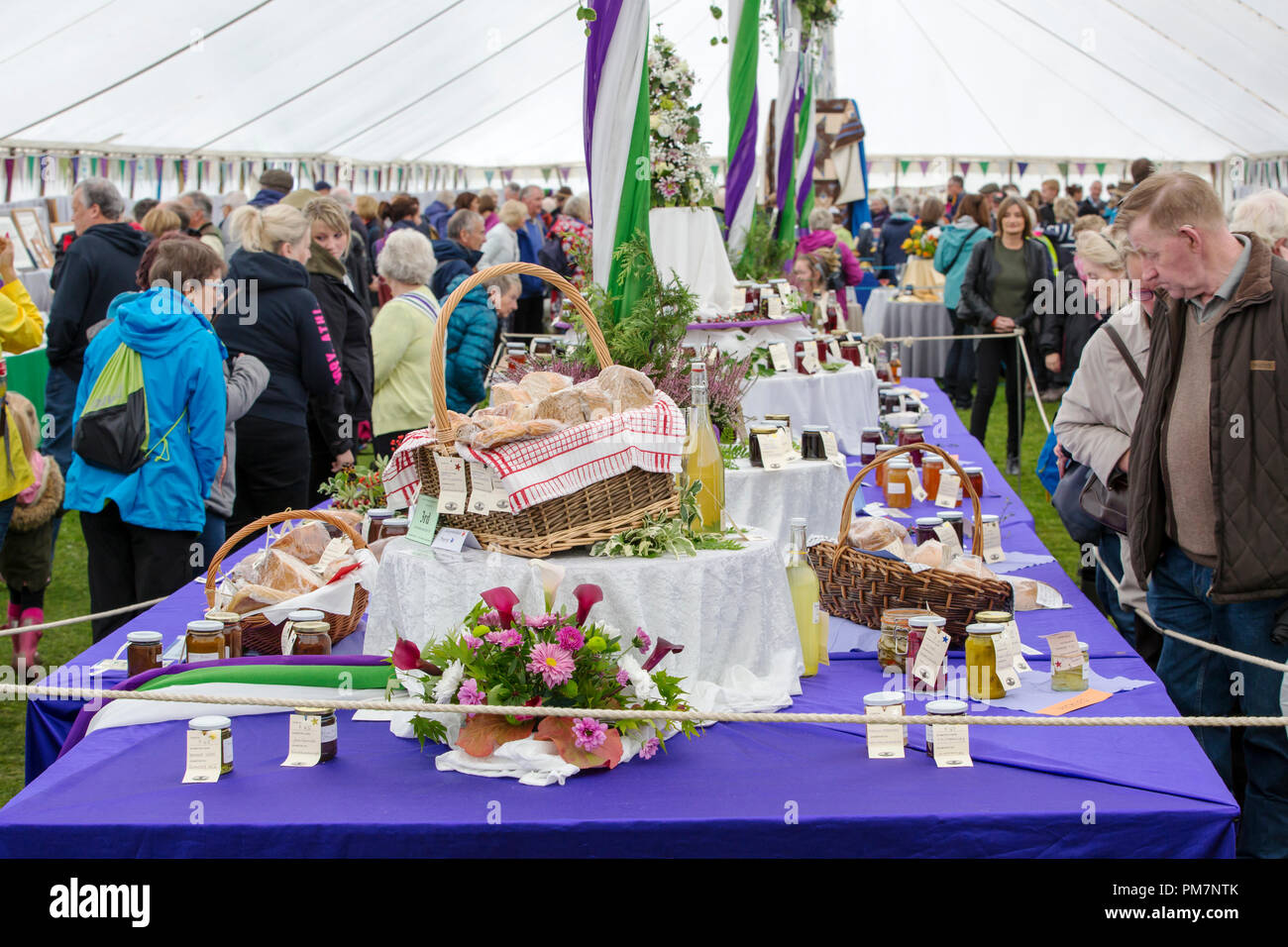 County show uk cake hi-res stock photography and images - Alamy