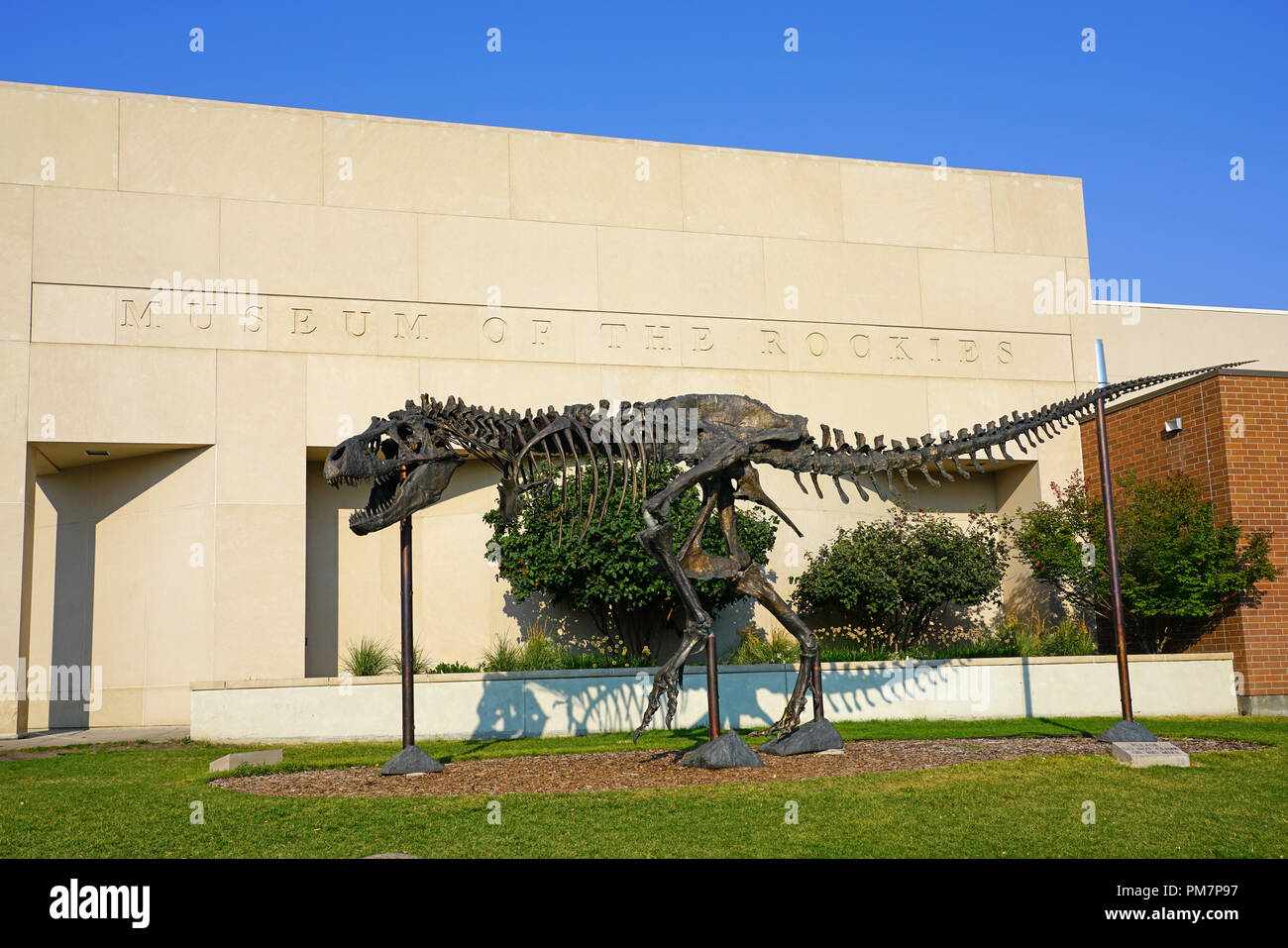 The Museum of the Rockies, known for its dinosaur paleontological ...
