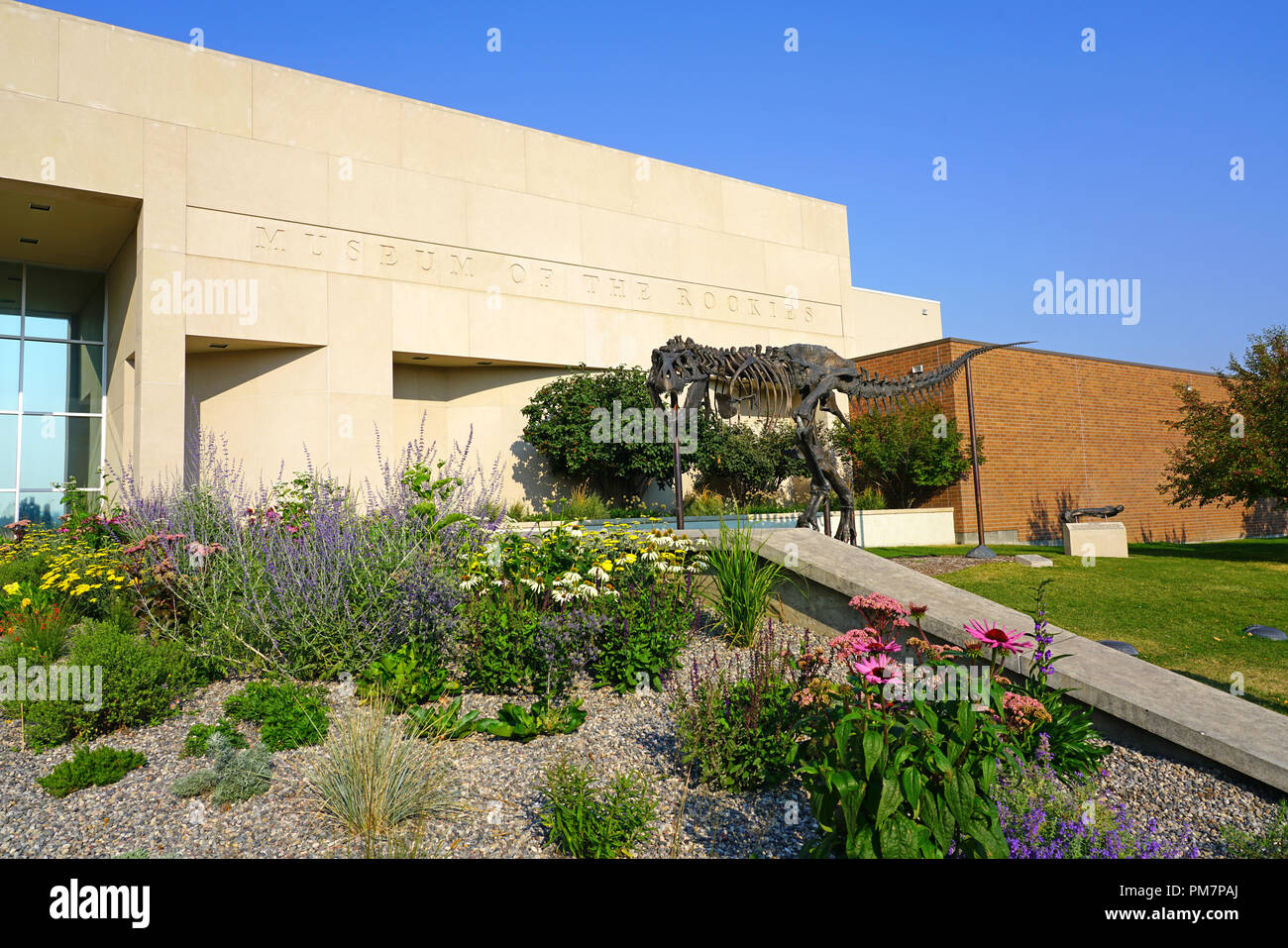 The Museum of the Rockies, known for its dinosaur paleontological ...