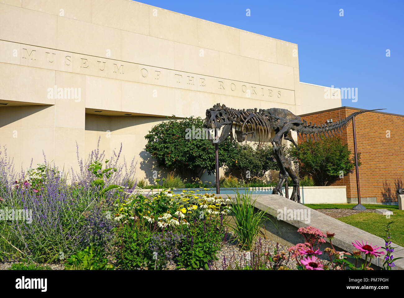 The Museum of the Rockies, known for its dinosaur paleontological ...