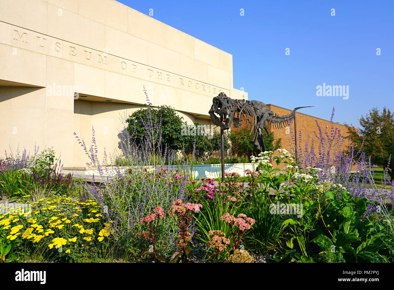 The Museum of the Rockies, known for its dinosaur paleontological ...
