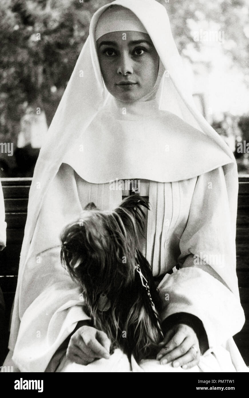 Audrey Hepburn and her dog "Famous" during the making of "The Nun's ...