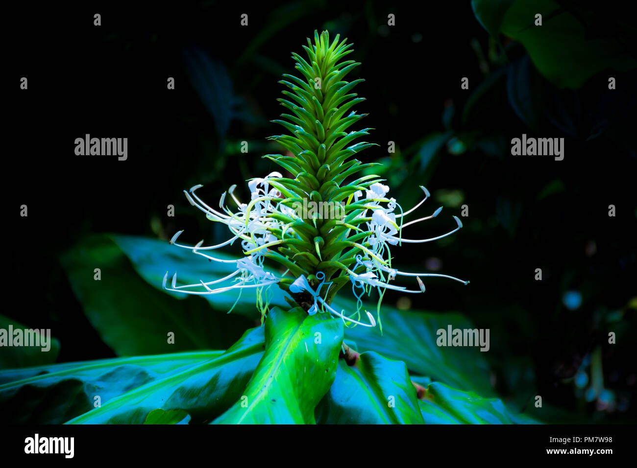 Unique arboretum hi-res stock photography and images - Alamy