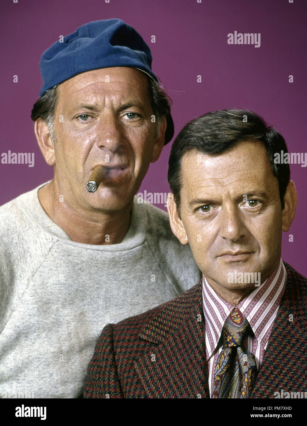 Tony Randall Simpsons
