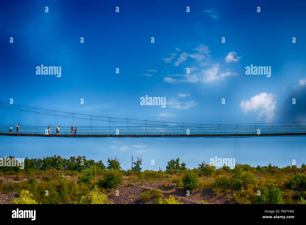 People walking on the suspension bridge over the trees in high height ...