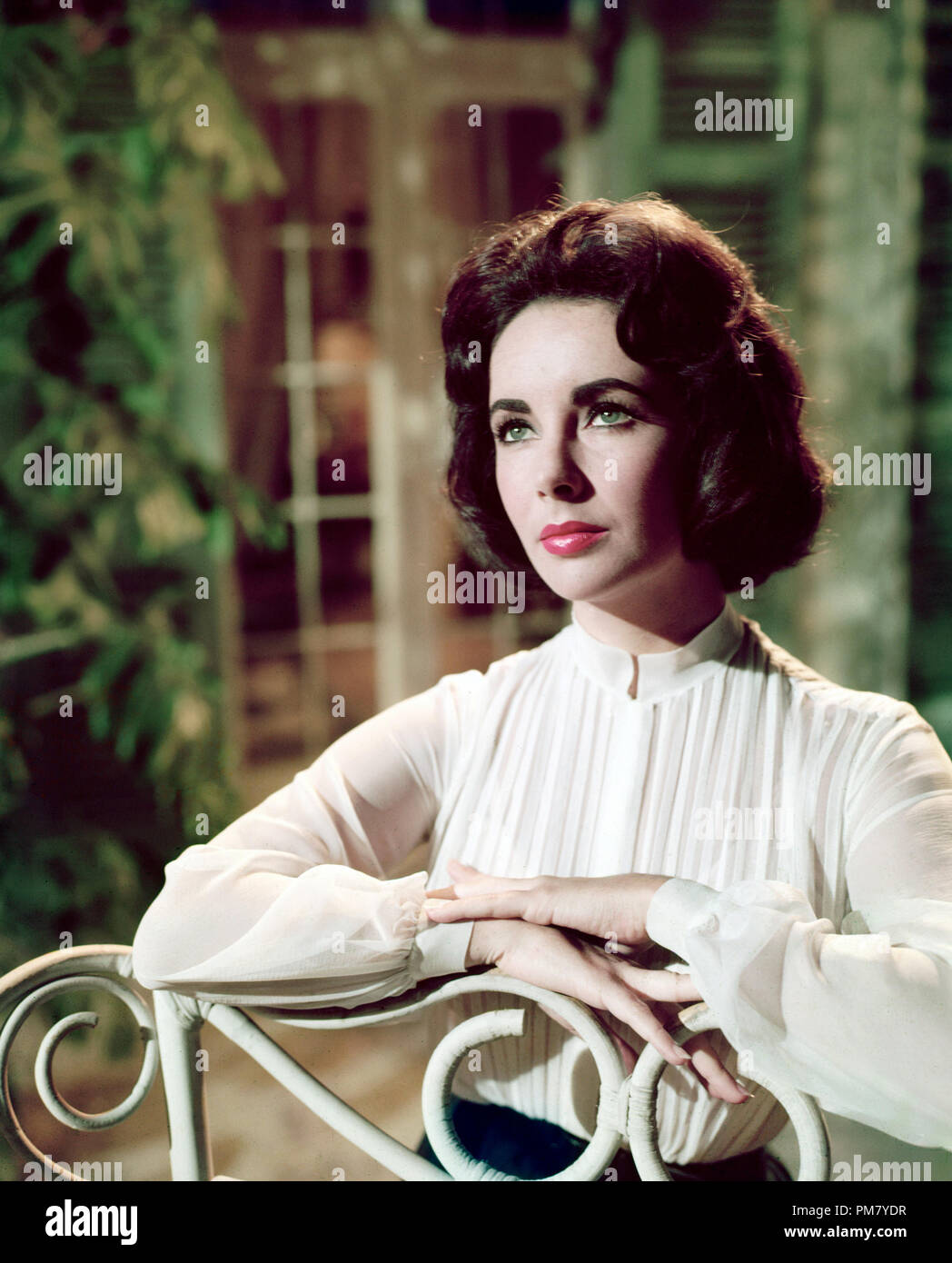 (Archival Classic Cinema - Elizabeth Taylor Retrospective) Elizabeth ...