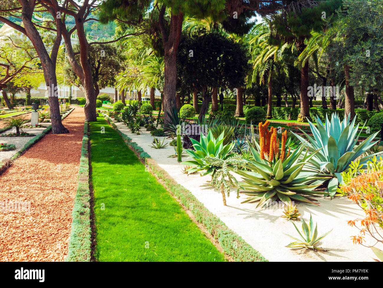 Flowers of Bahai Garden, Haifa, Israel Stock Photo - Alamy