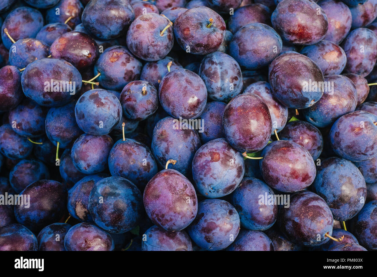 Damson plums hi-res stock photography and images - Alamy