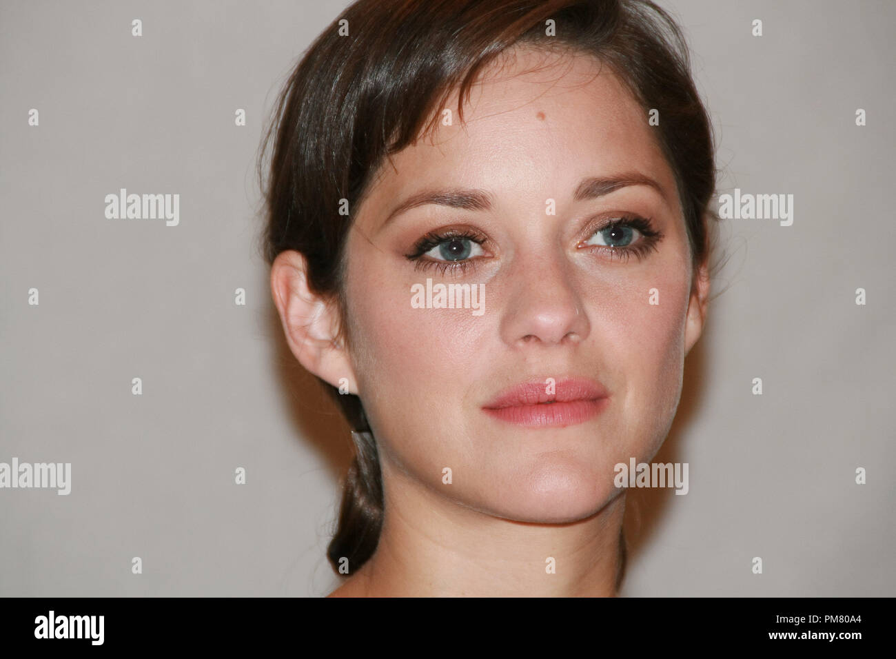 Marion cotillard rust bone hi-res stock photography and images - Alamy