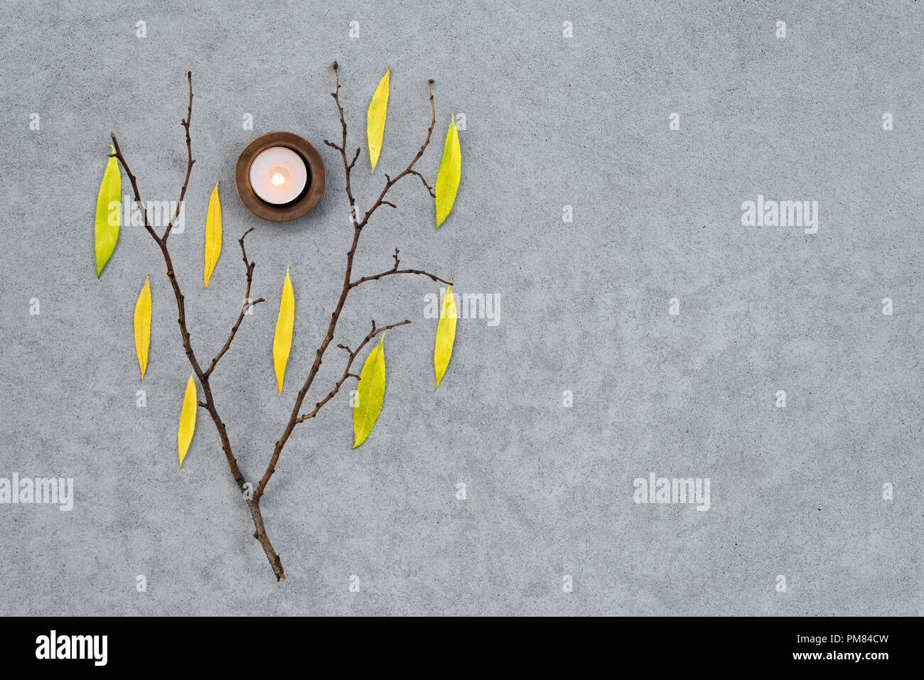 Autumn mood. Tree branch with yellow leaves and cozy candlelight Stock ...