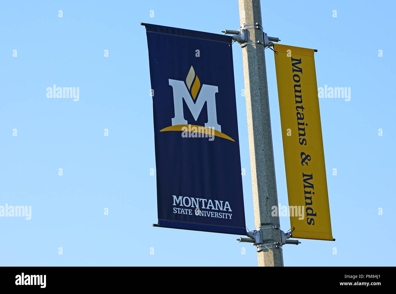 Bobcats montana state university hi-res stock photography and images ...